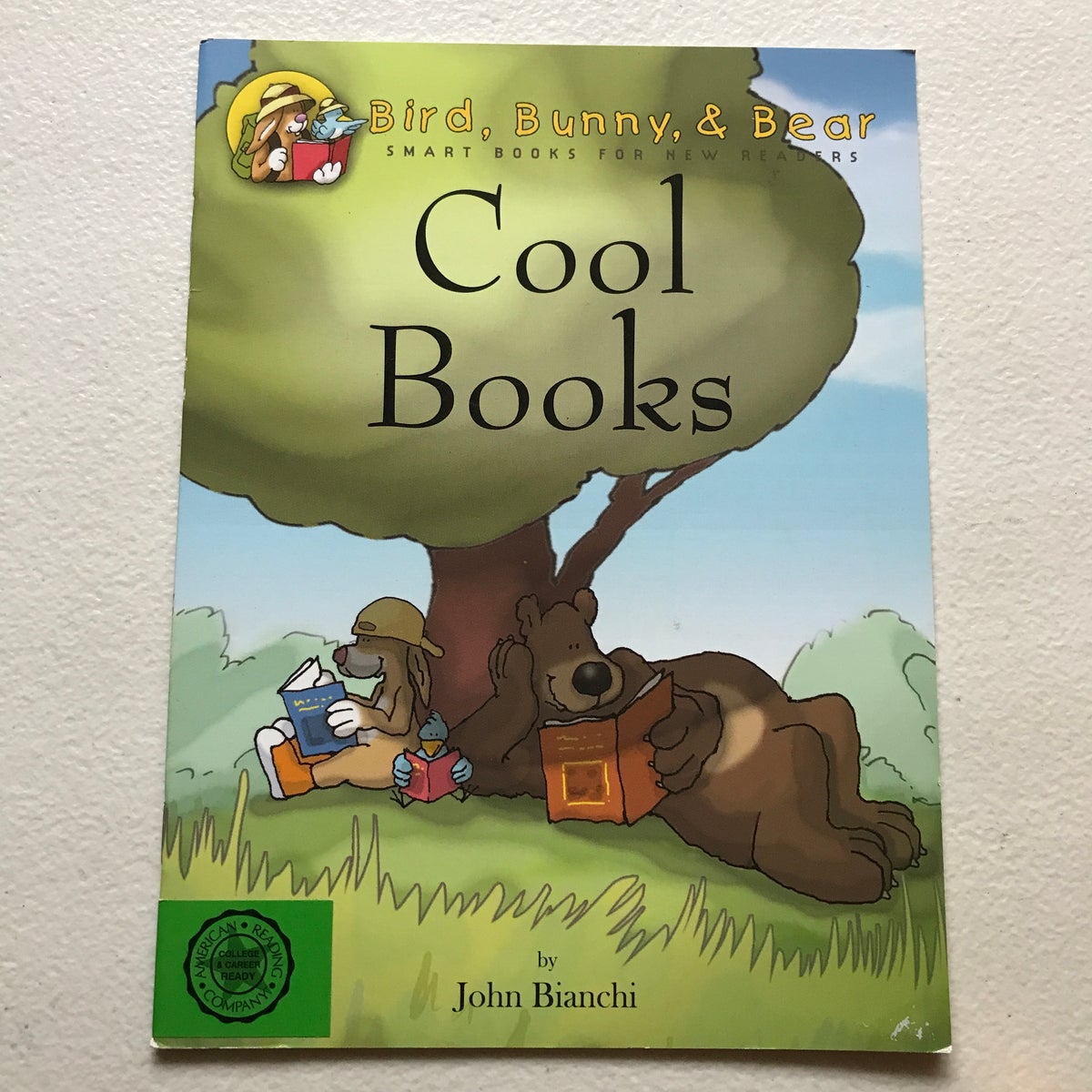 Cool Books by John Bianchi, Paperback | Pango Books