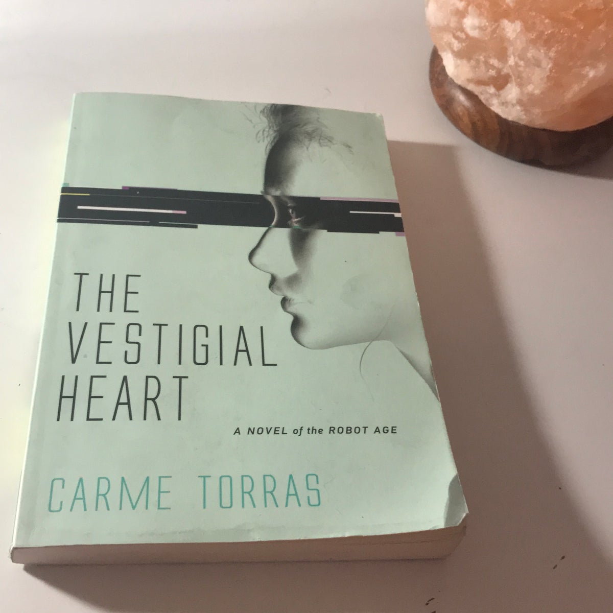The Vestigial Heart by Carme. Torras, Paperback | Pangobooks