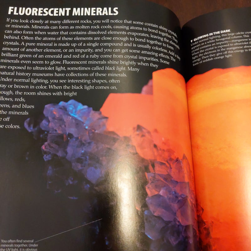 Big Idea Science Book by Dorling Kindersley Publishing Staff, Paperback ...