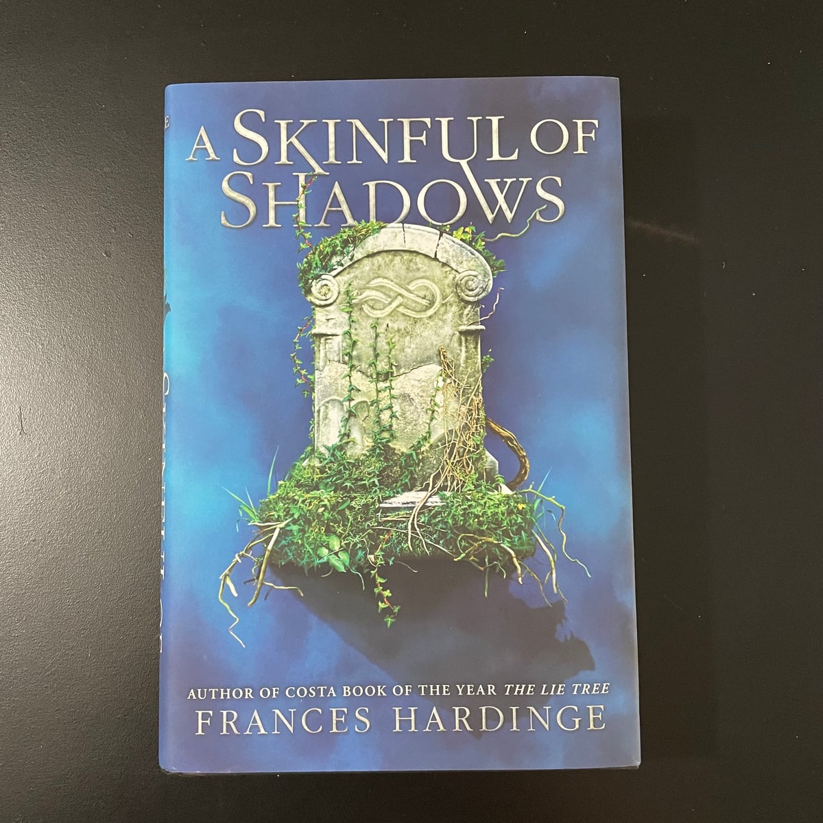 A Skinful of Shadows by Frances Hardinge, Hardcover | Pangobooks