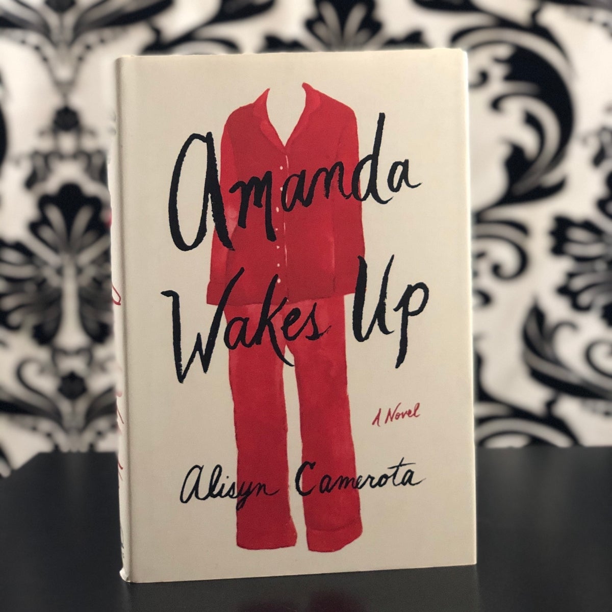 Amanda Wakes Up by Alisyn Camerota, Hardcover | Pangobooks