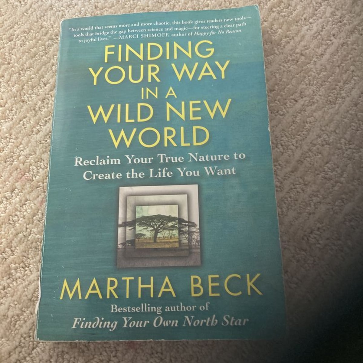 Finding Your Way in a Wild New World by Martha Beck