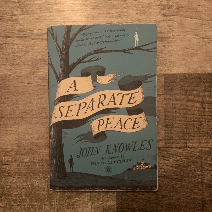 A Separate Peace by John Knowles; John Knowles, Paperback | Pangobooks