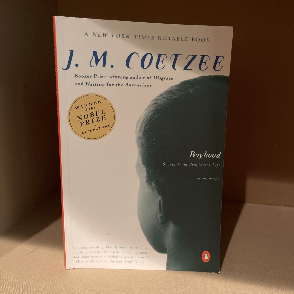 Boyhood by J. M. Coetzee, Paperback | Pangobooks