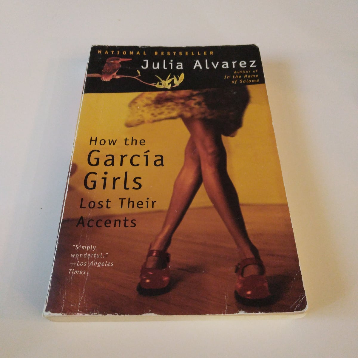 How the Garcia Girls Lost Their Accents