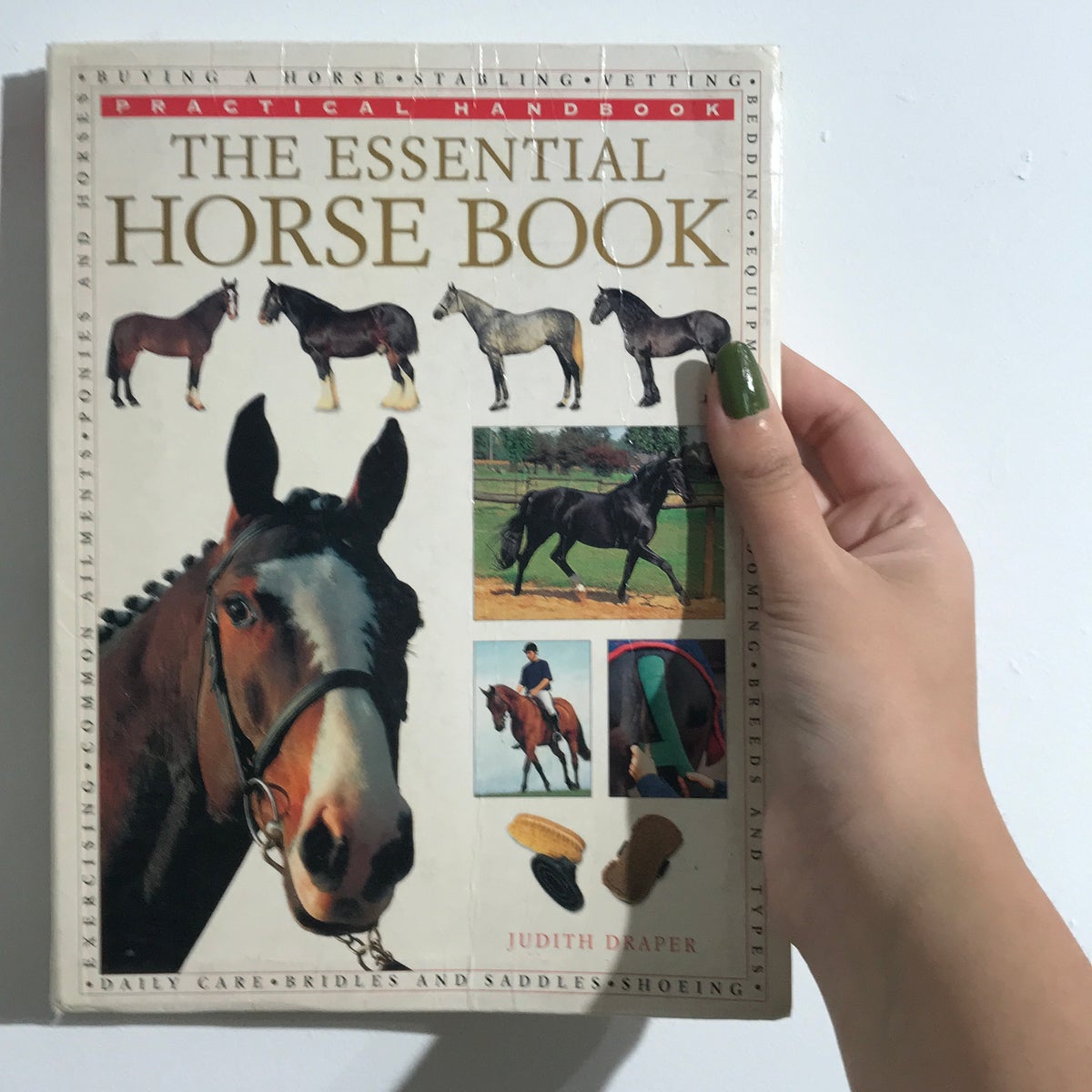 The Essential Horse Book by Judith Draper