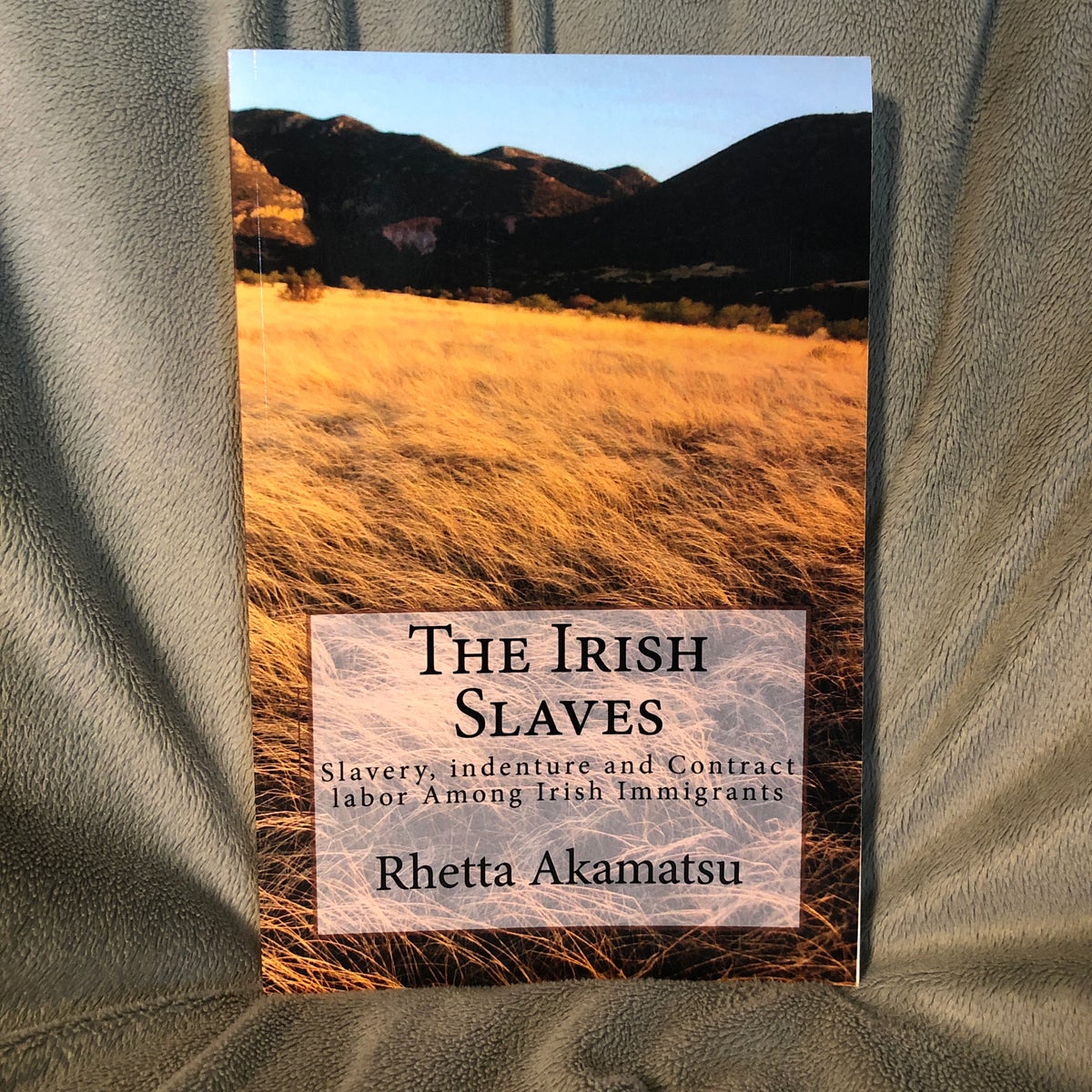 The Irish Slaves by Rhetta Akamatsu