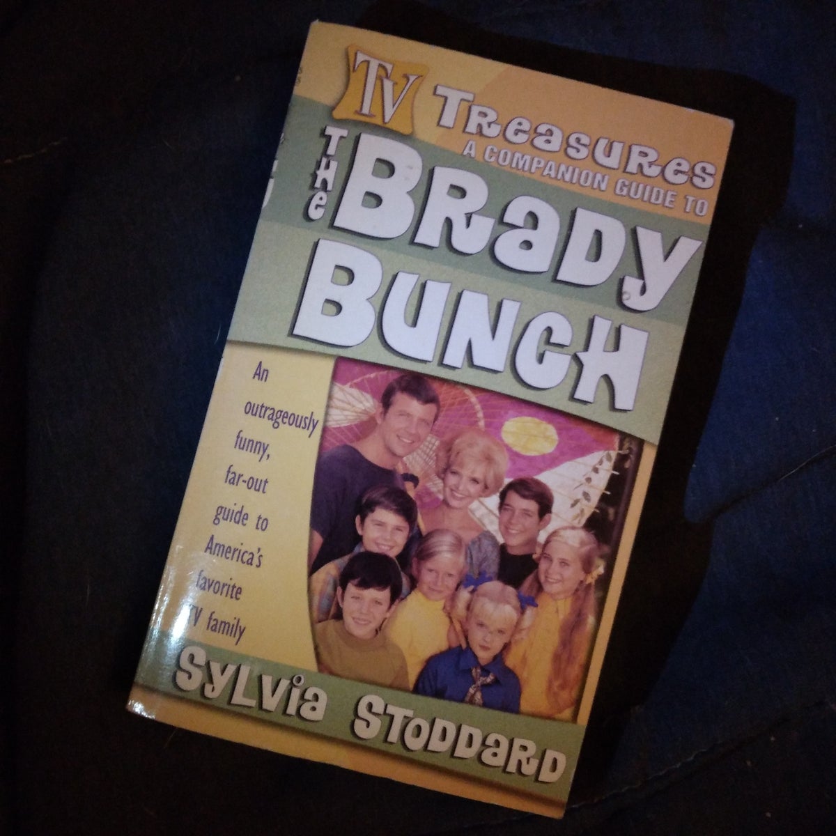 The Brady Bunch by Sylvia Stoddard