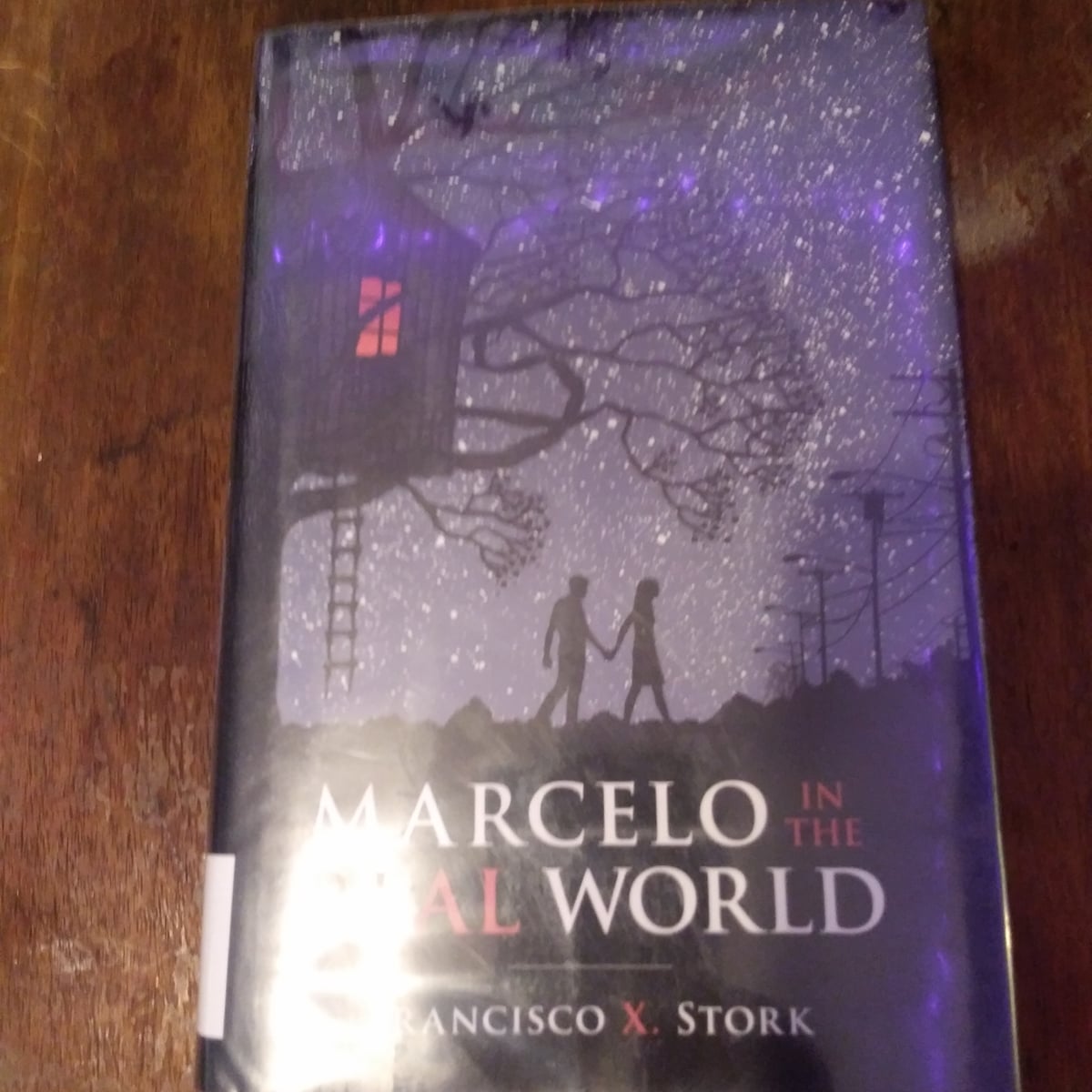 Marcelo in the Real World by Francisco X. Stork