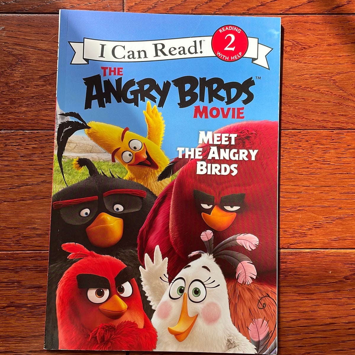 The Angry Birds Movie: Meet the Angry Birds by Chris Cerasi