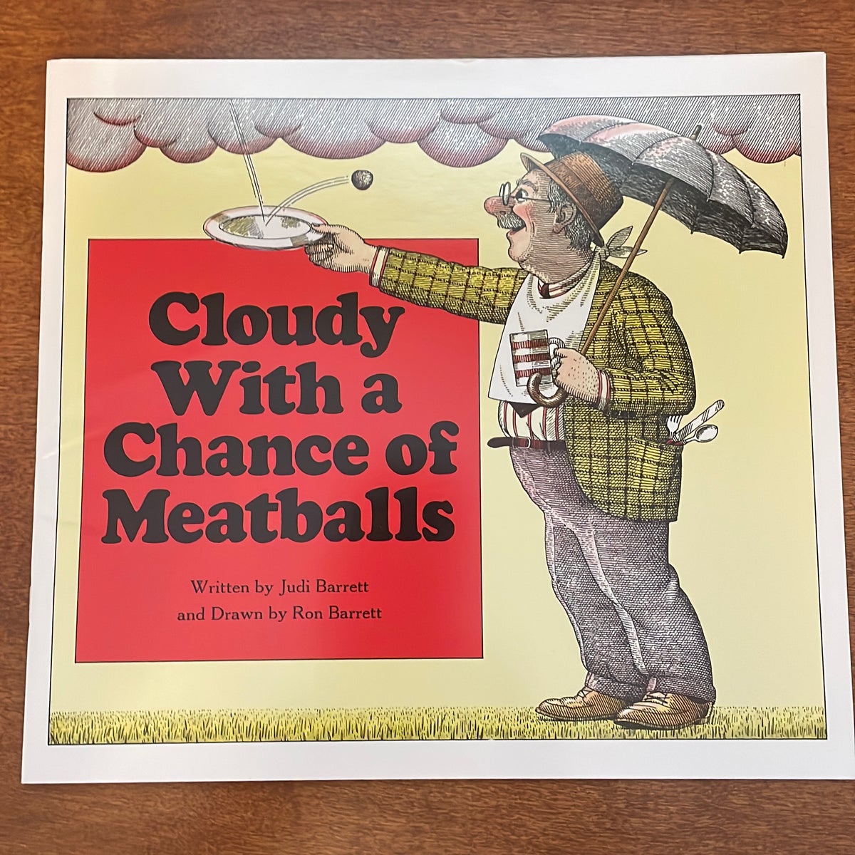 Cloudy with a Chance of Meatballs
