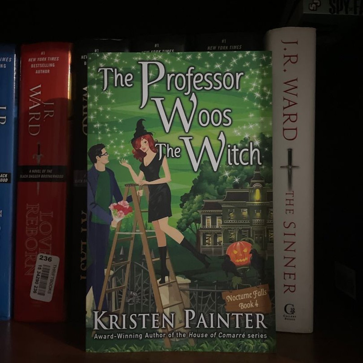 The Professor Woos the Witch by Kristen Painter
