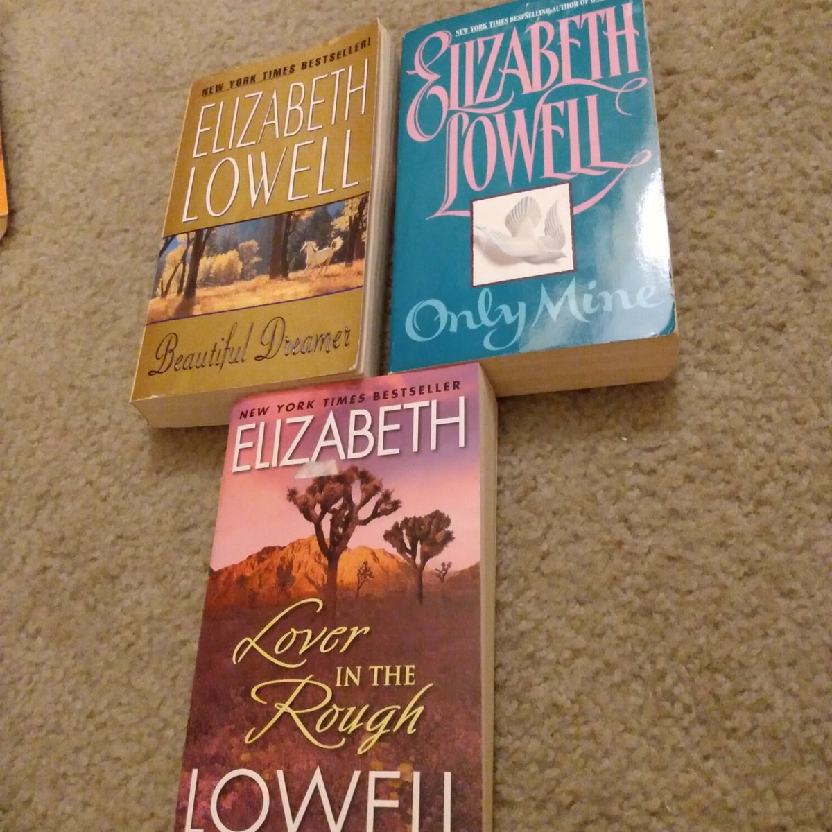 Lover in the Rough by Elizabeth Lowell