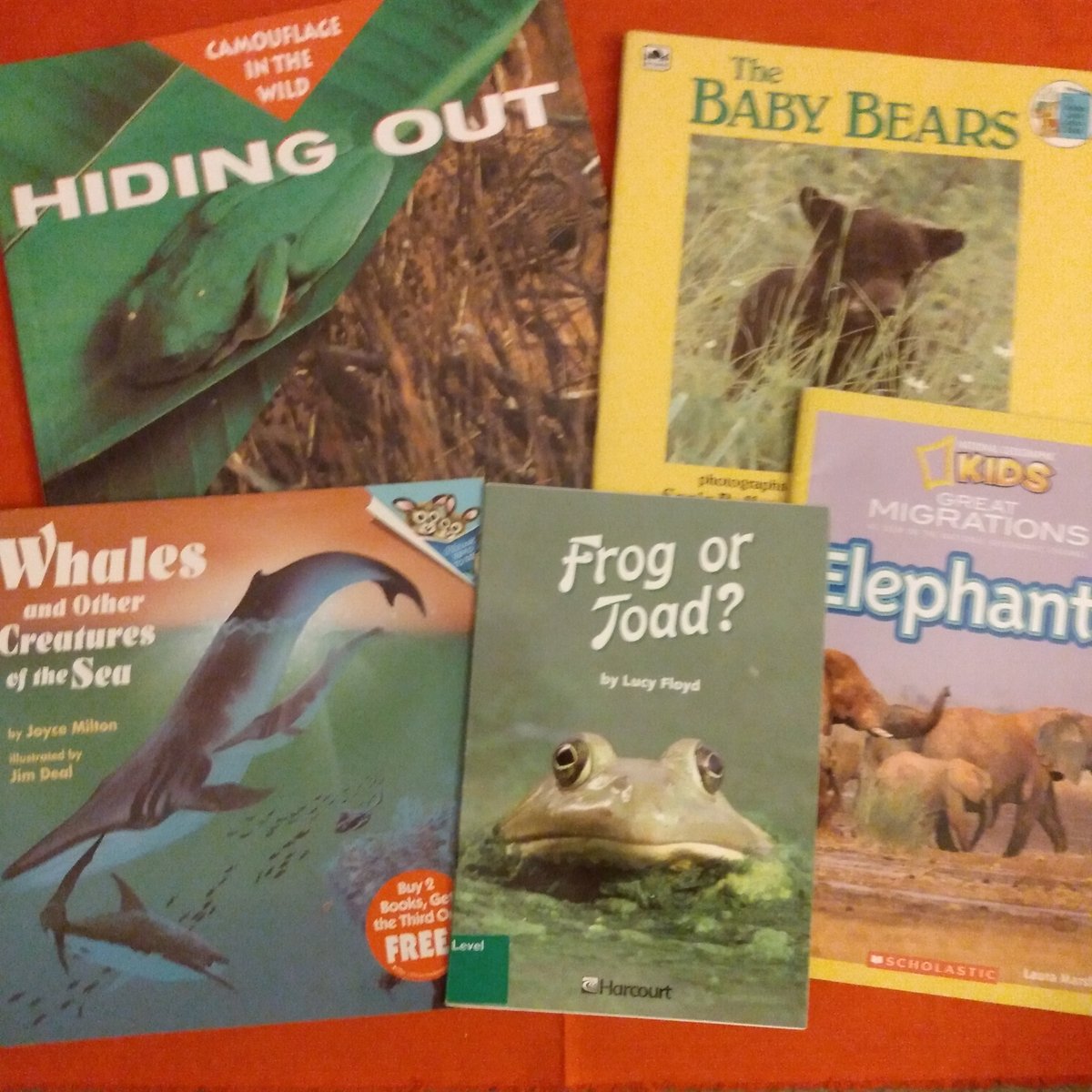 Whales and Other Creatures of the Sea by Joyce Milton