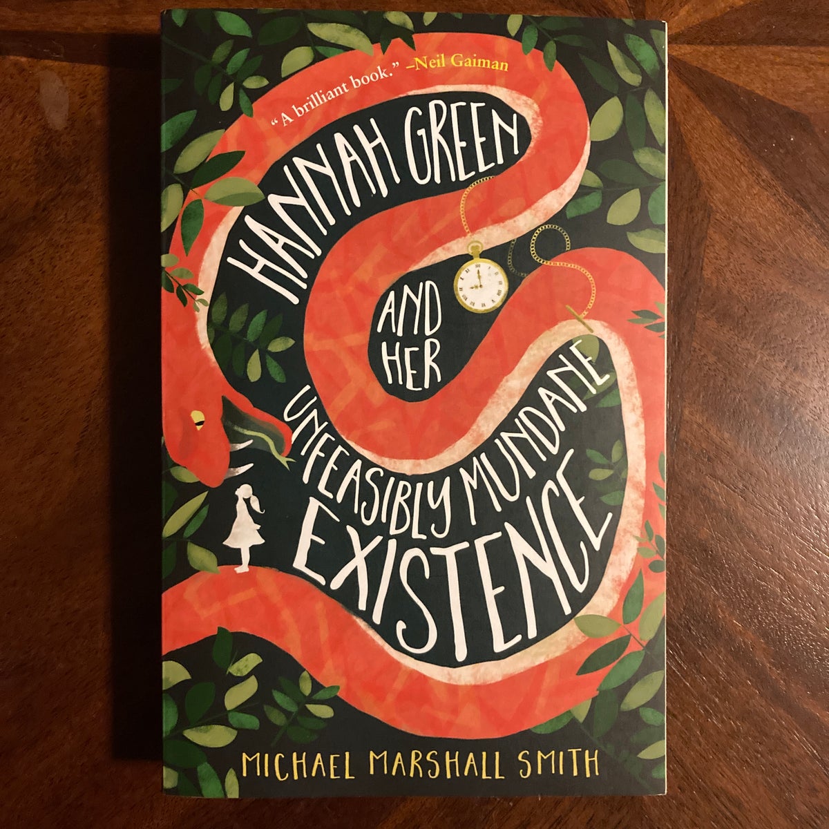 Hannah Green and Her Unfeasibly Mundane Existence by Michael Marshall Smith