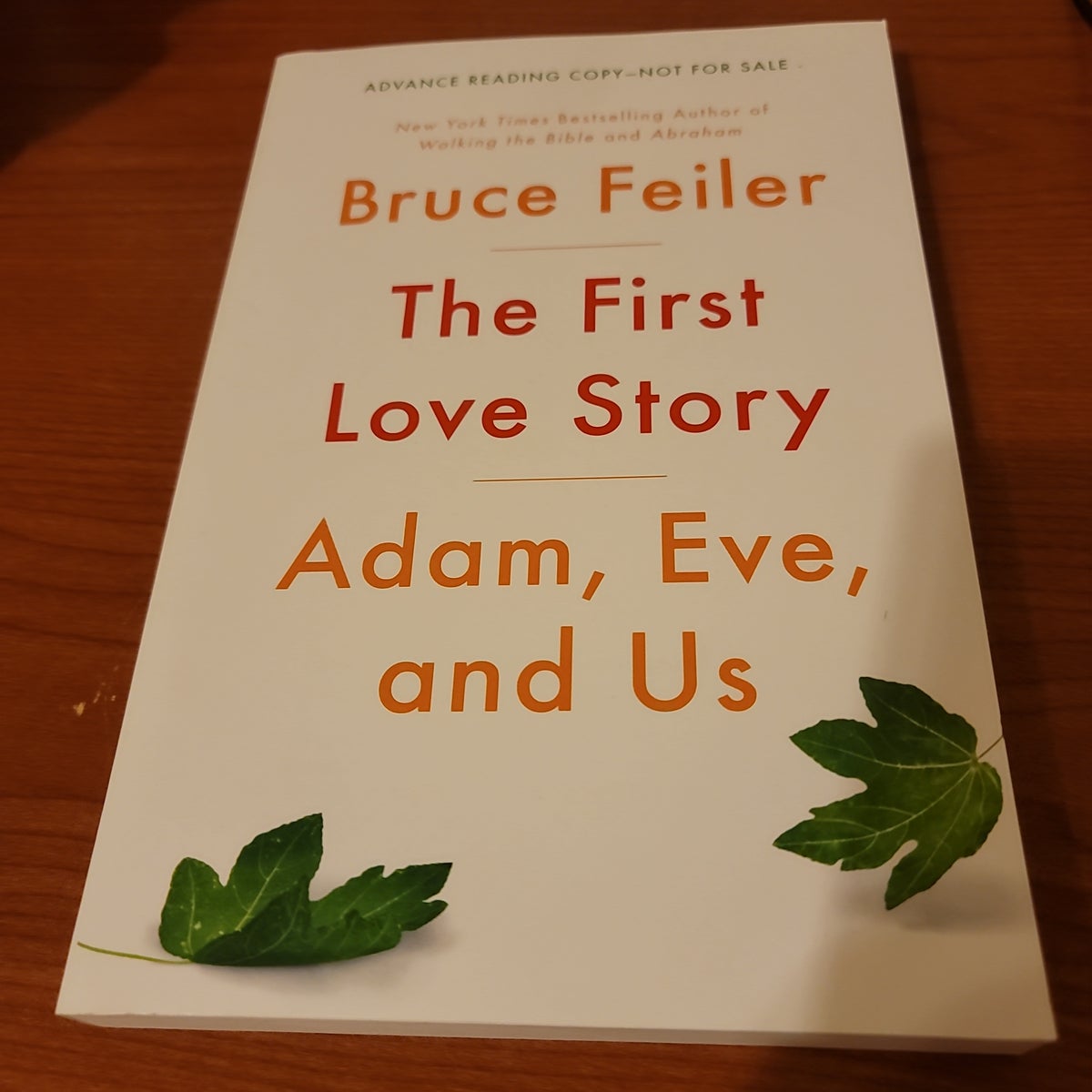 The First Love Story by Bruce Feiler