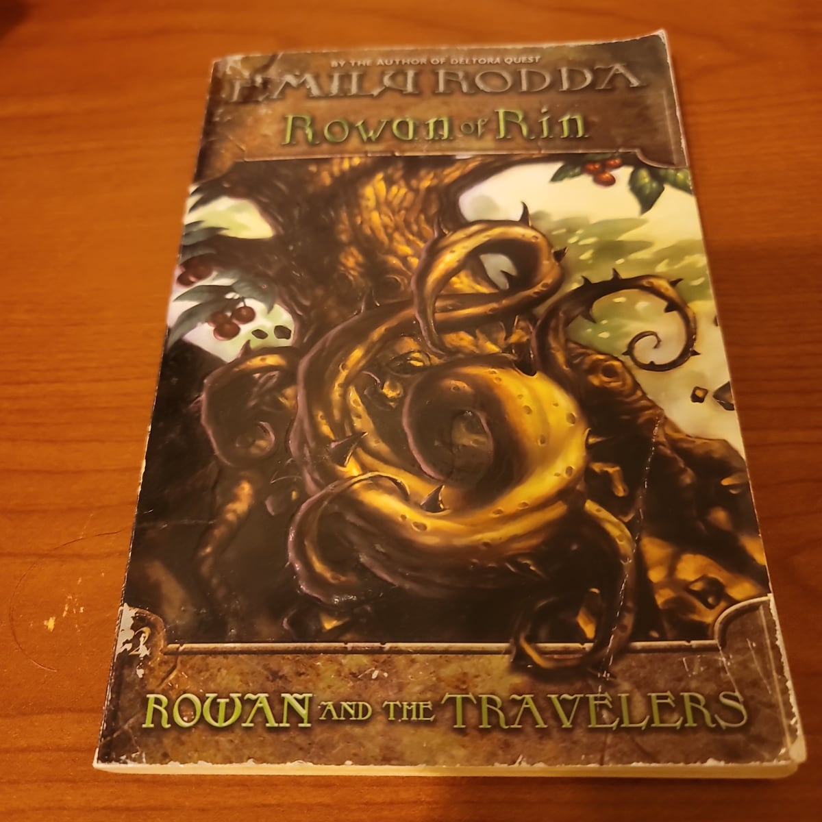 Rowan of Rin #2: Rowan and the Travelers by Emily Rodda