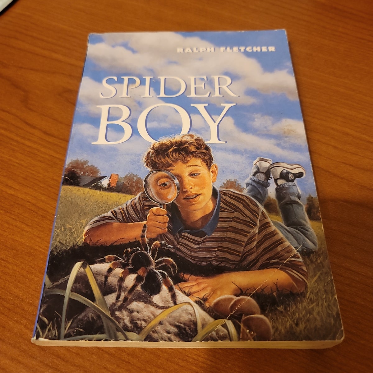 Spider Boy by Ralph J. Fletcher