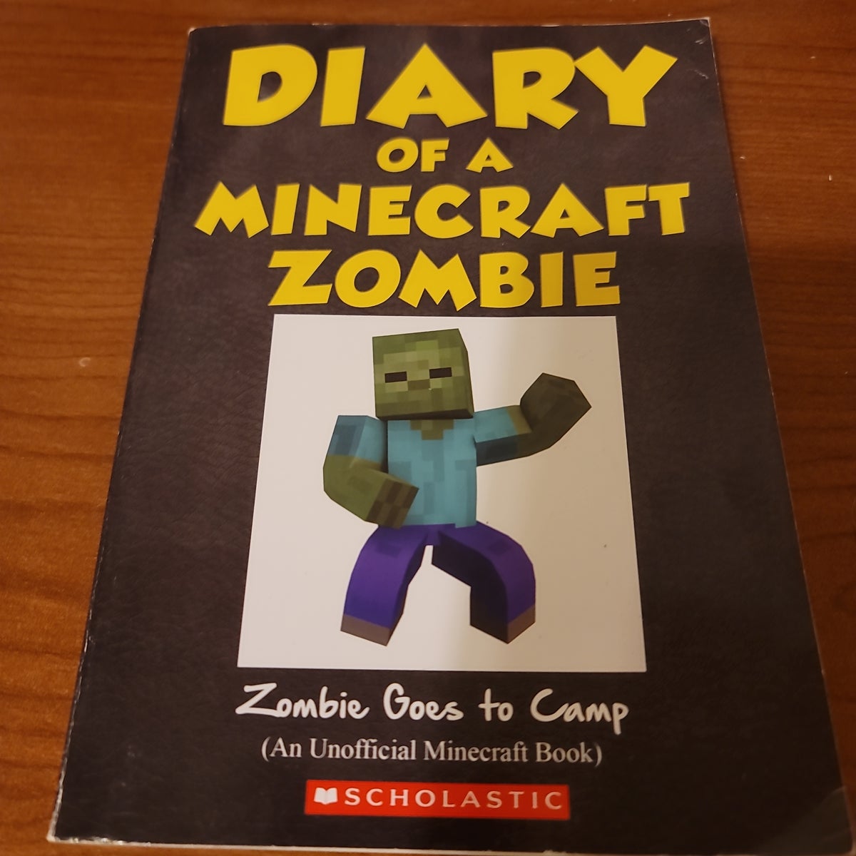 Diary of a Minecraft Zombie Book 6 by Zack Zombie