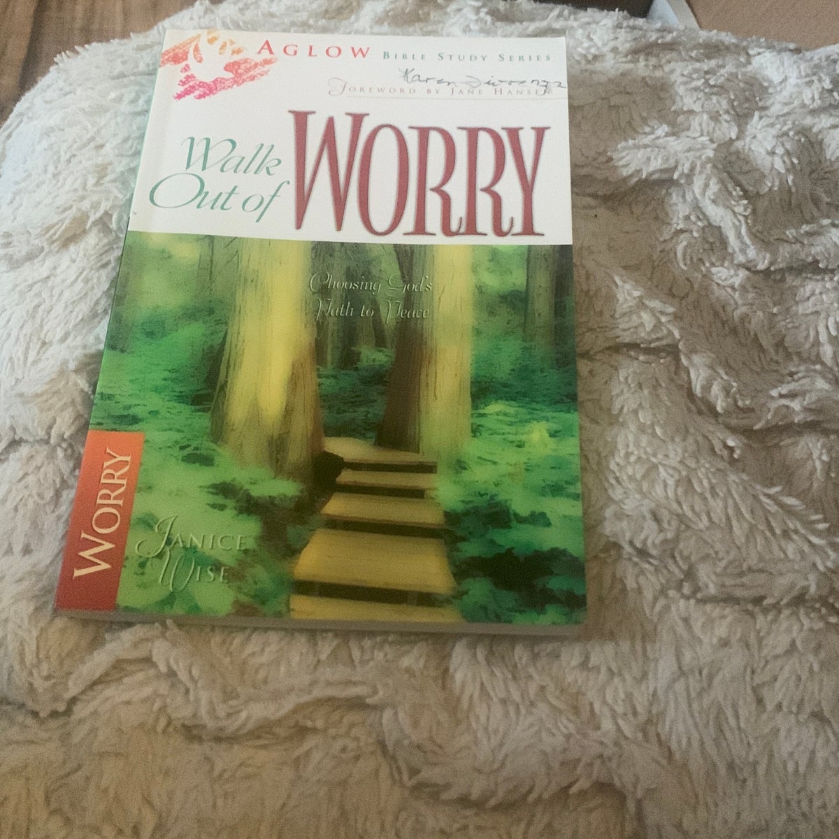Walk Out of Worry by Janice Wise