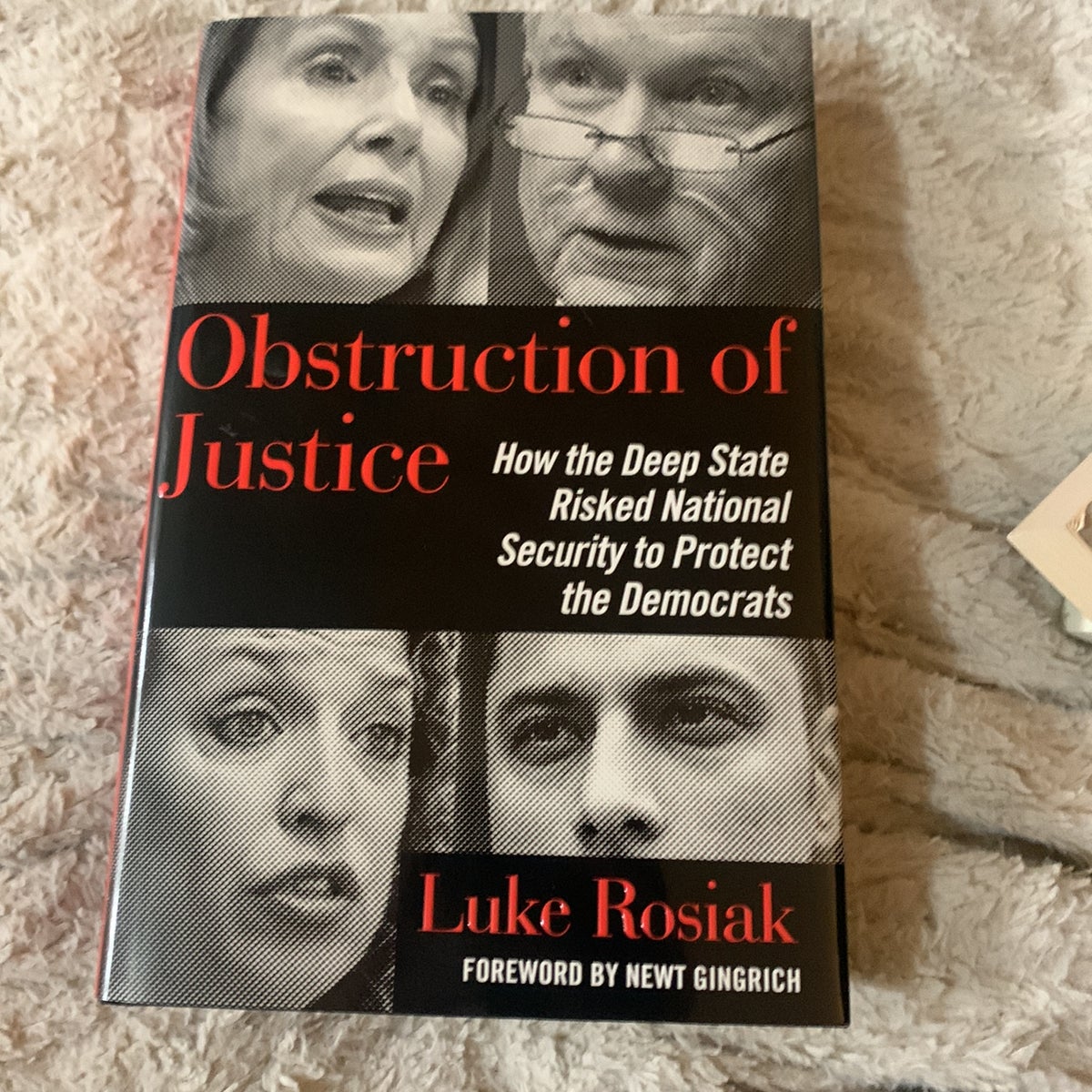 Obstruction of Justice by Luke Rosiak, Newt Gingrich