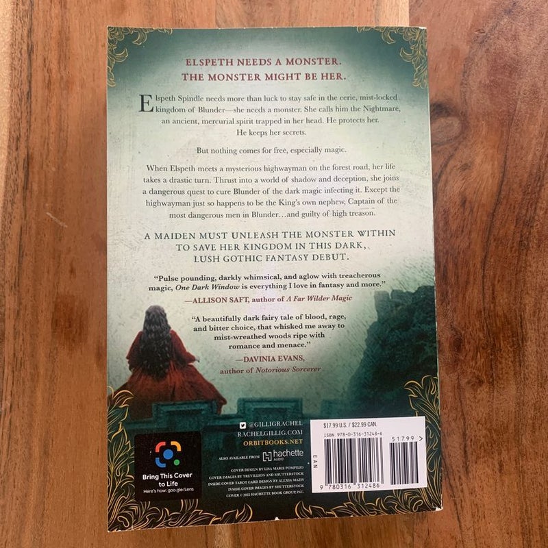 One Dark Window by Rachel Gillig, Paperback | Pangobooks