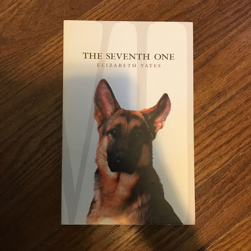 The Seventh One by Elizabeth Yates