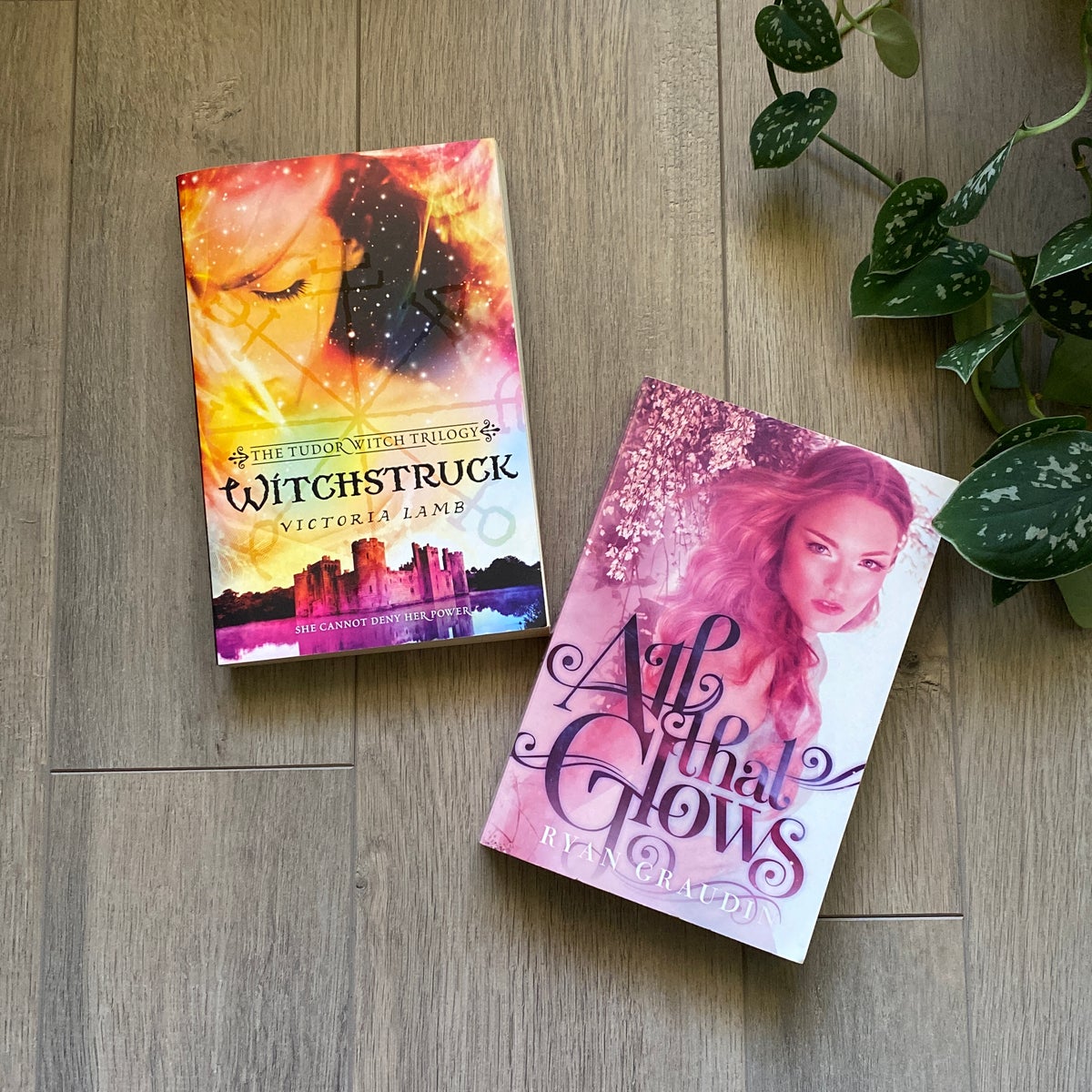 Witchstruck by Victoria Lamb