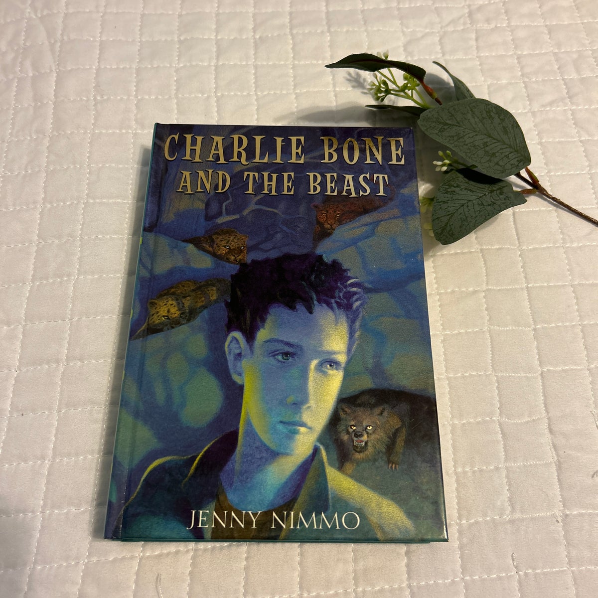 Charlie Bone and the Beast