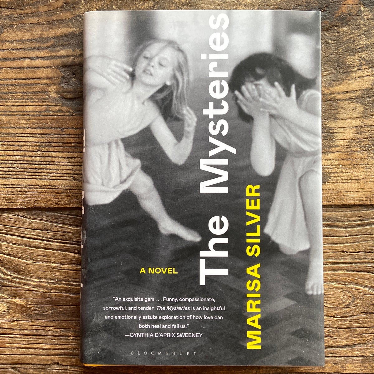 The Mysteries by Marisa Silver