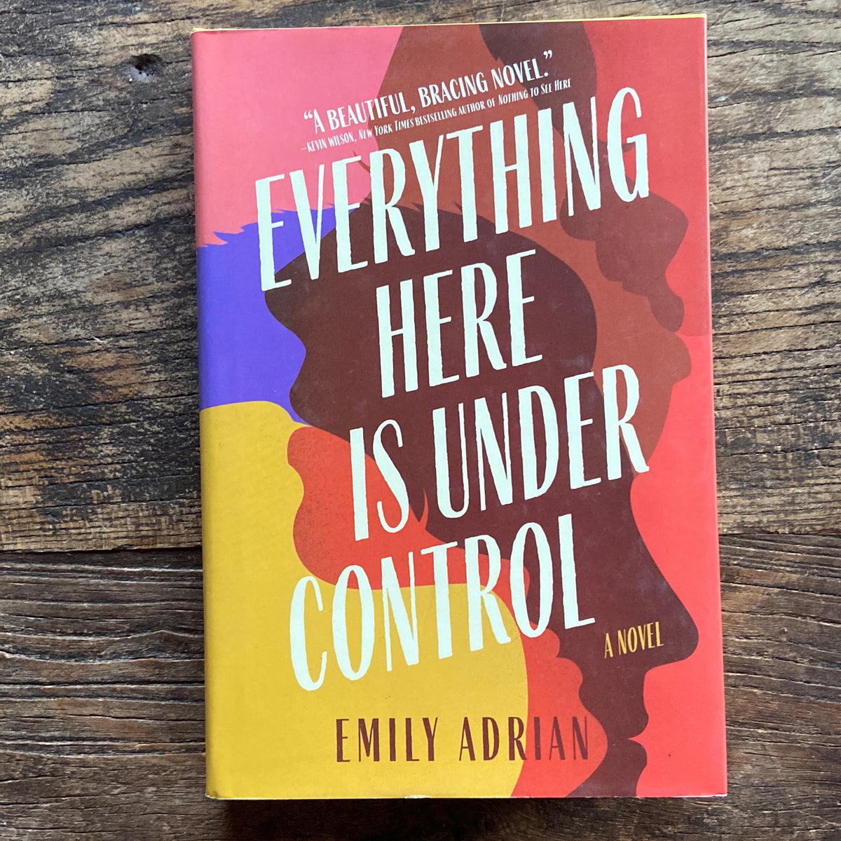 Everything Here Is under Control by Emily Adrian