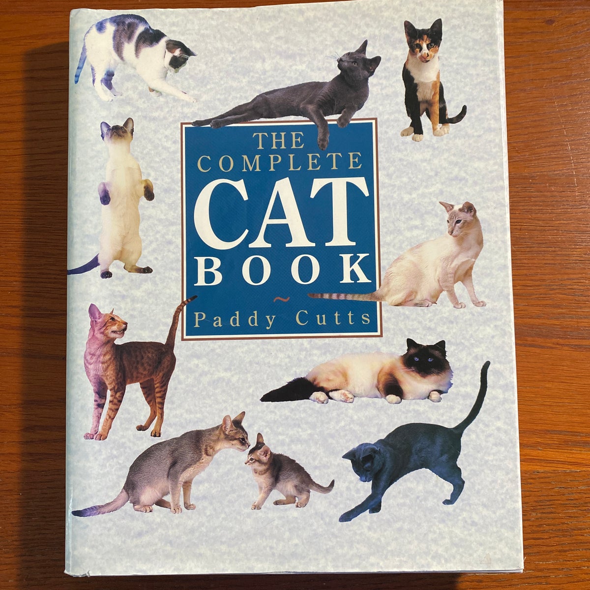The Complete Cat Book by Paddy Cutts