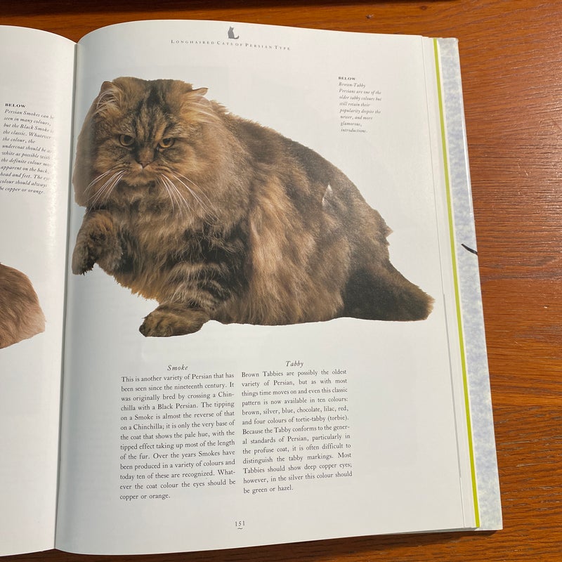 The Complete Cat Book by Paddy Cutts