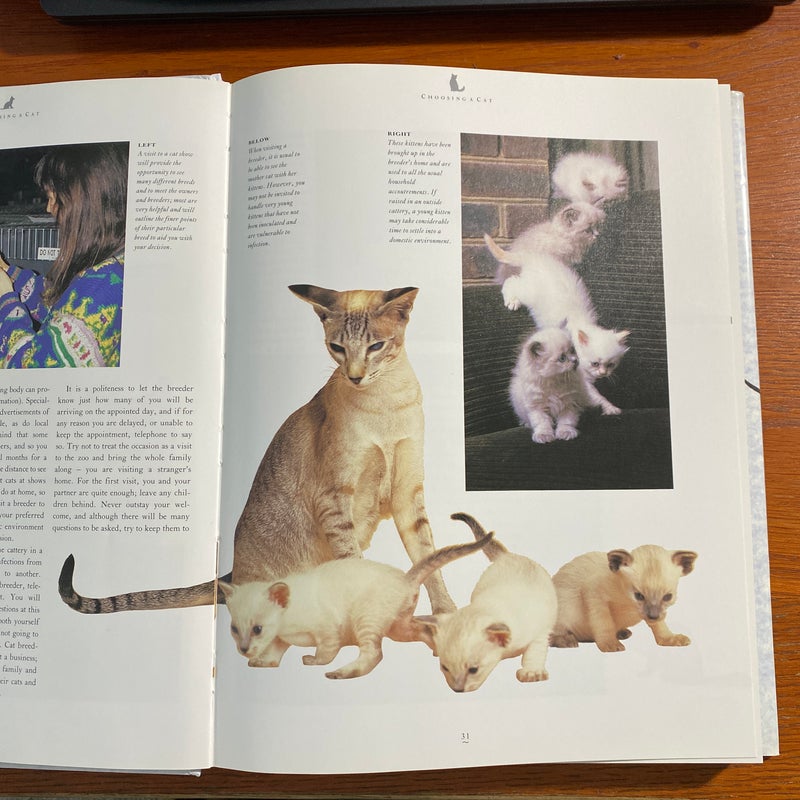 The Complete Cat Book by Paddy Cutts