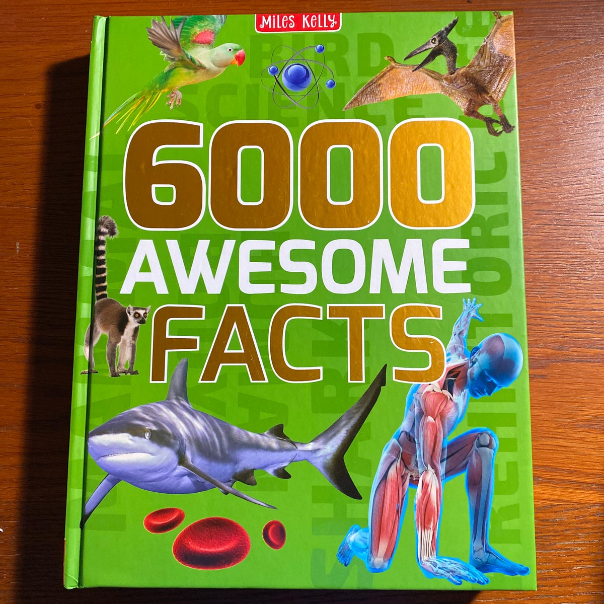6000 Amazing Facts by Kelly MILES