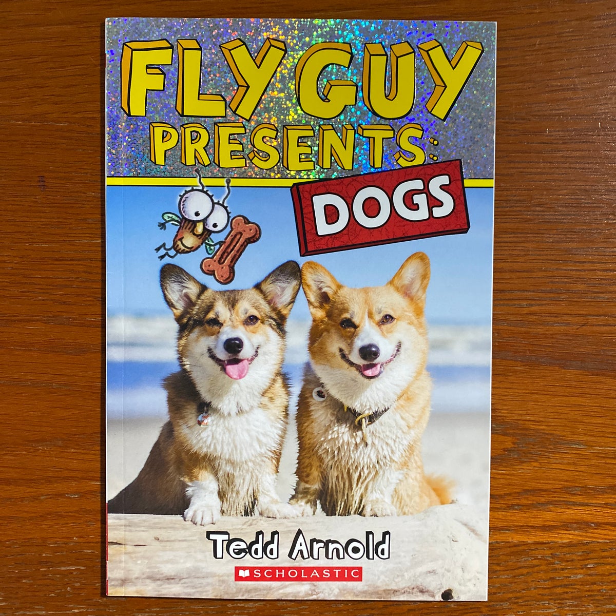 Fly Guy Presents: Dogs by Tedd Arnold