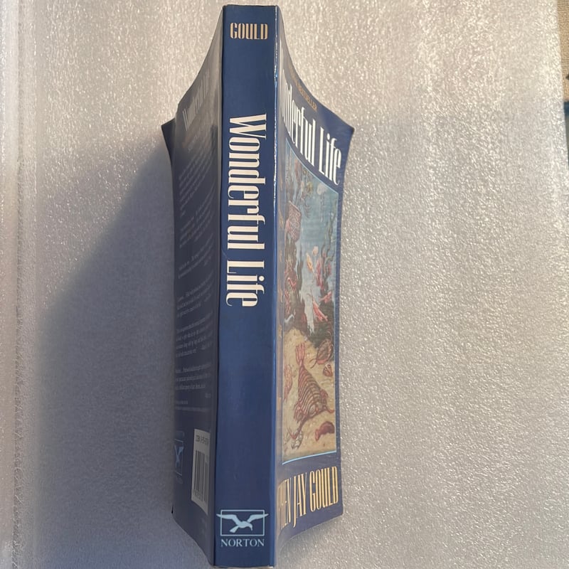 Wonderful Life by Stephen Jay Gould, Paperback | Pangobooks