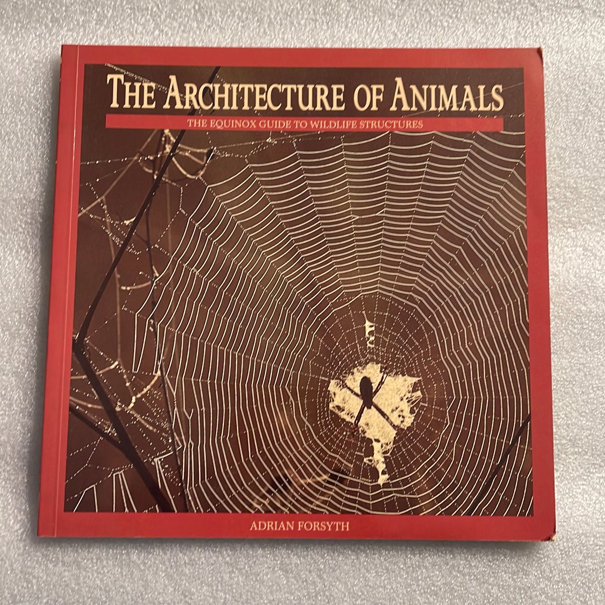 The Architecture of Animals by Adrian Forsyth