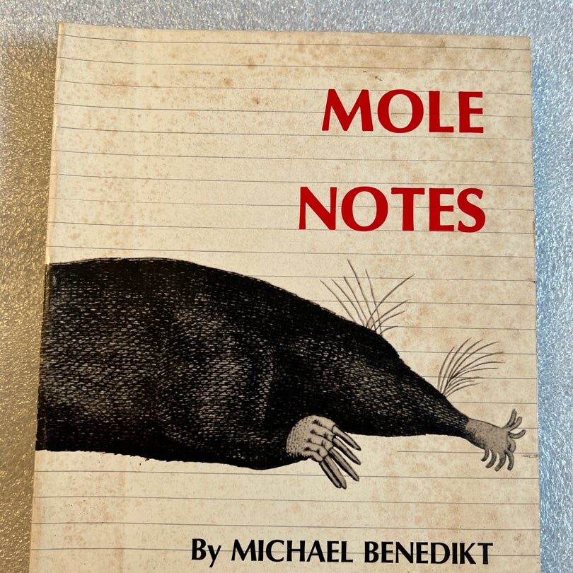 Mole Notes by Michael Benedikt