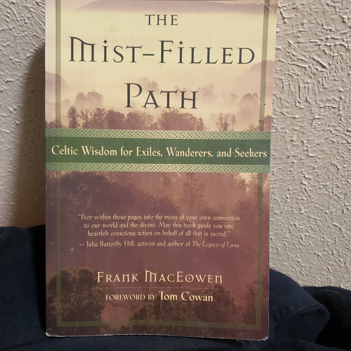The Mist-Filled Path by Frank MacEowen and Tom Cowan, Paperback | Pangobooks