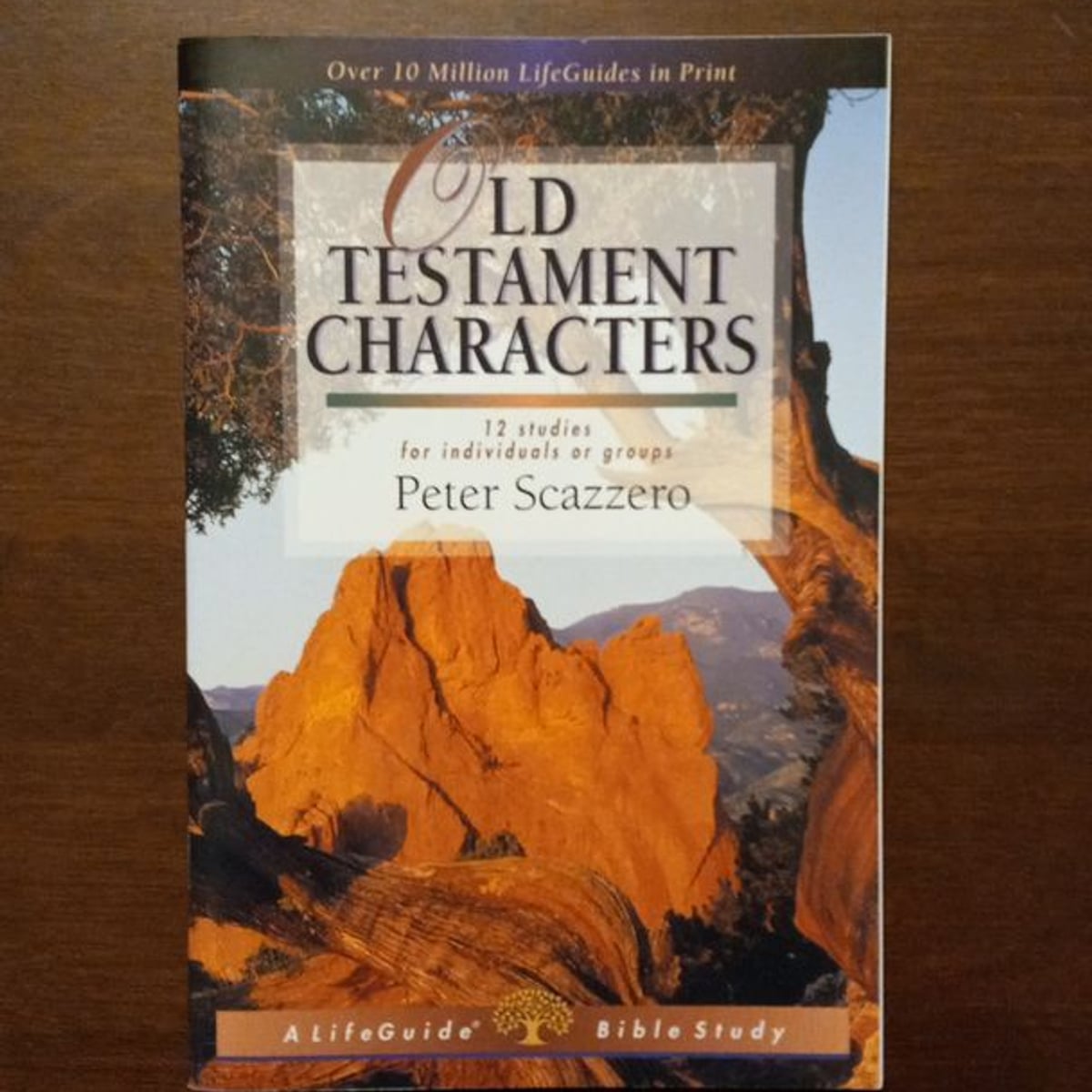 Old Testament Characters by Peter Scazzero