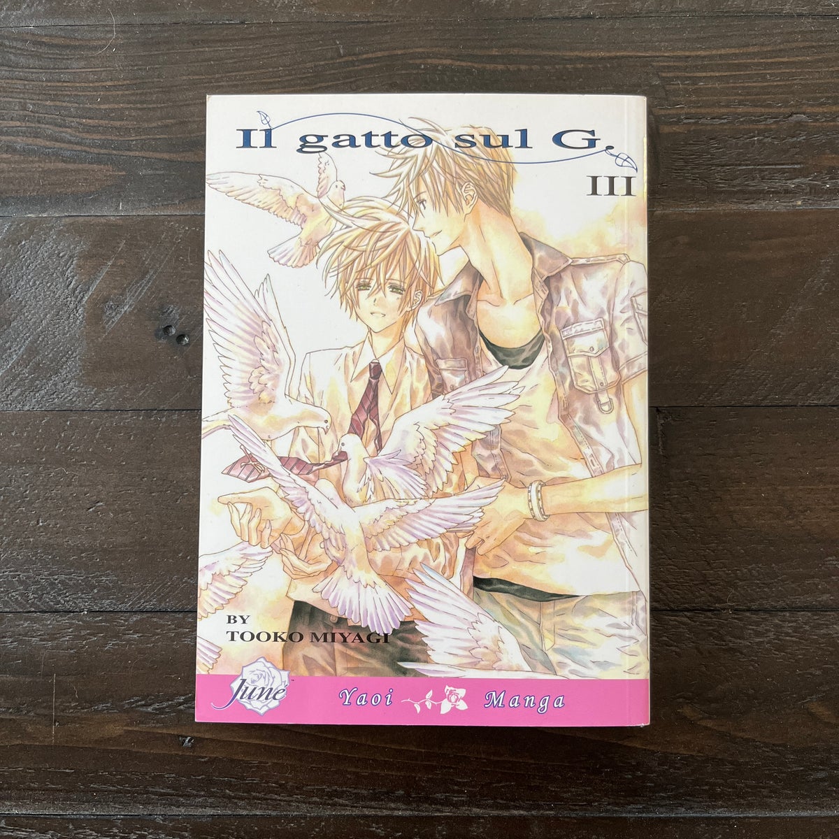 Il Gatto Sul G Volume 3 (Yaoi) by Tooko Miyagi