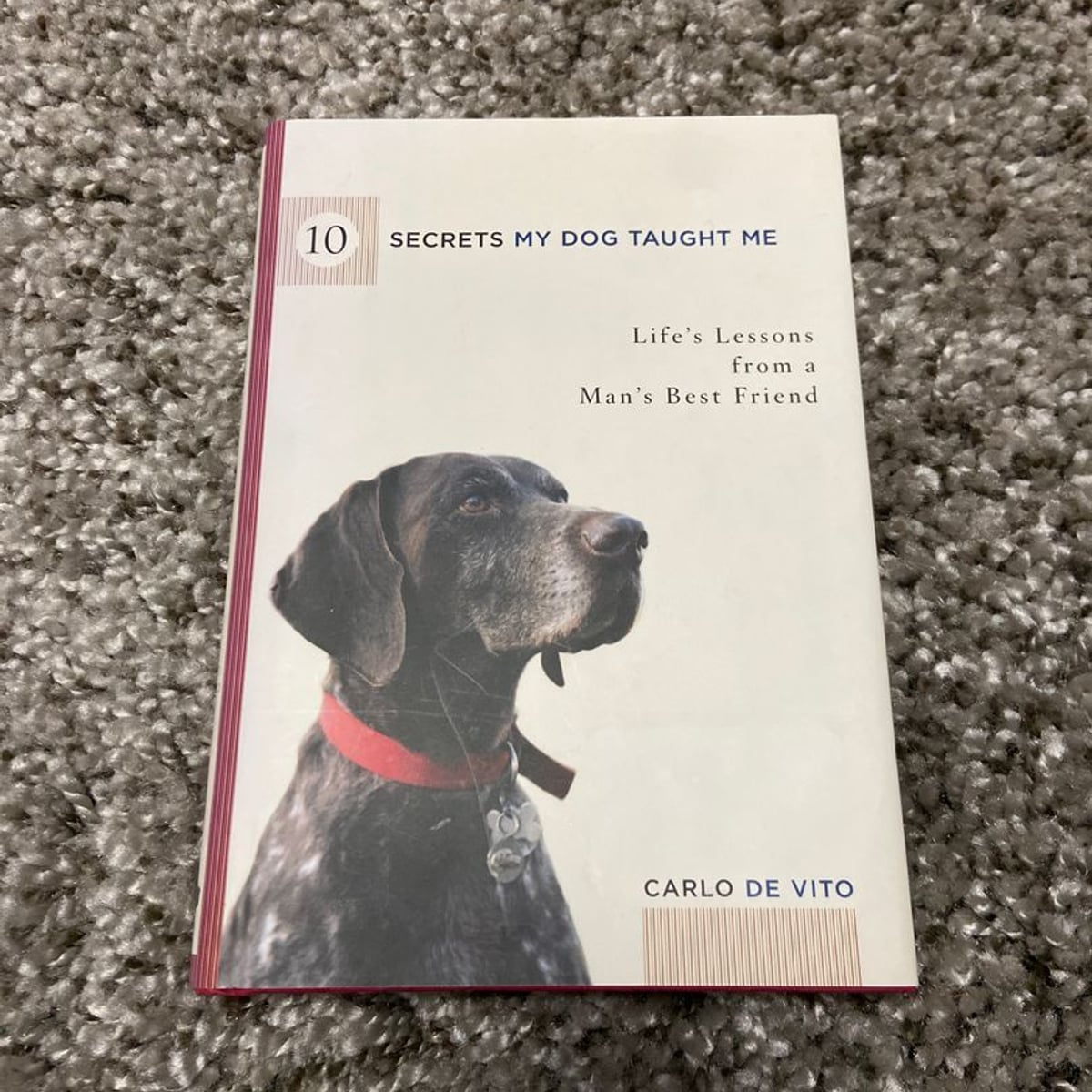 10 Secrets My Dog Taught Me by Carlo De Vito, Hardcover | Pangobooks