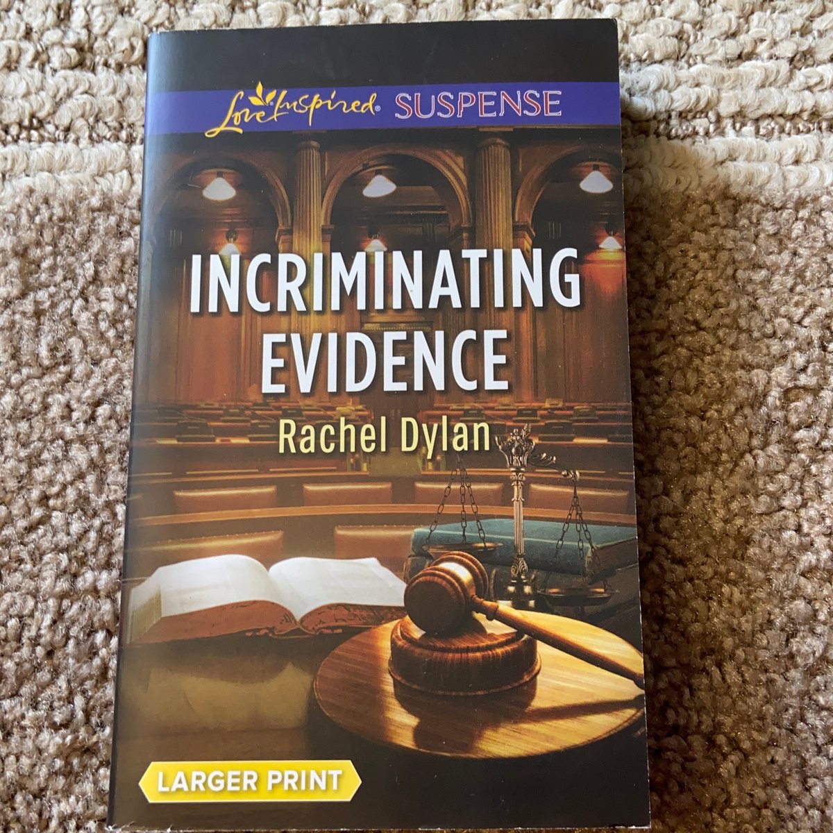 Incriminating Evidence by Rachel Dylan