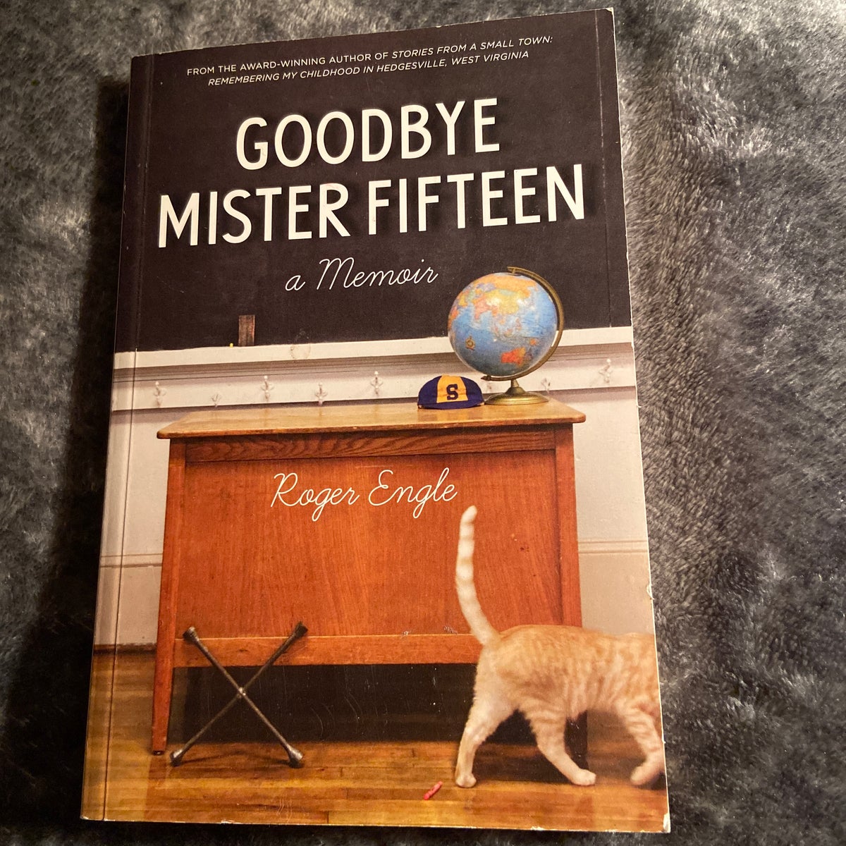 Goodbye Mister Fifteen by Roger Engle
