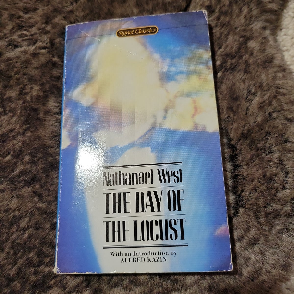The Day of the Locust by Nathanael West, Paperback | Pangobooks