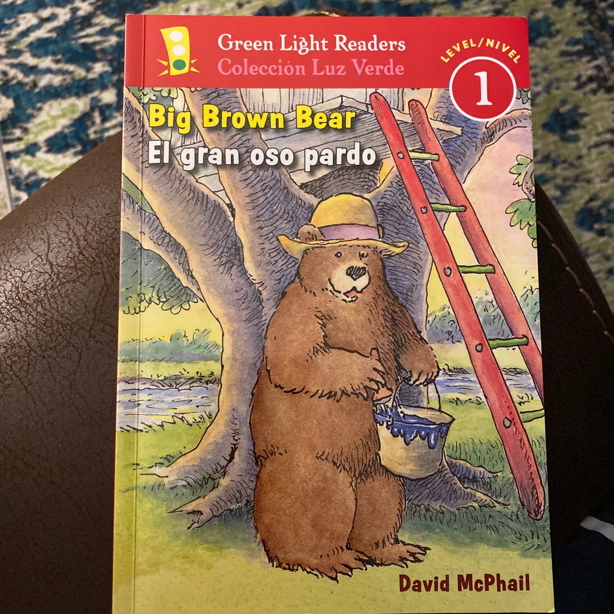 El Gran Oso Pardo/Big Brown Bear