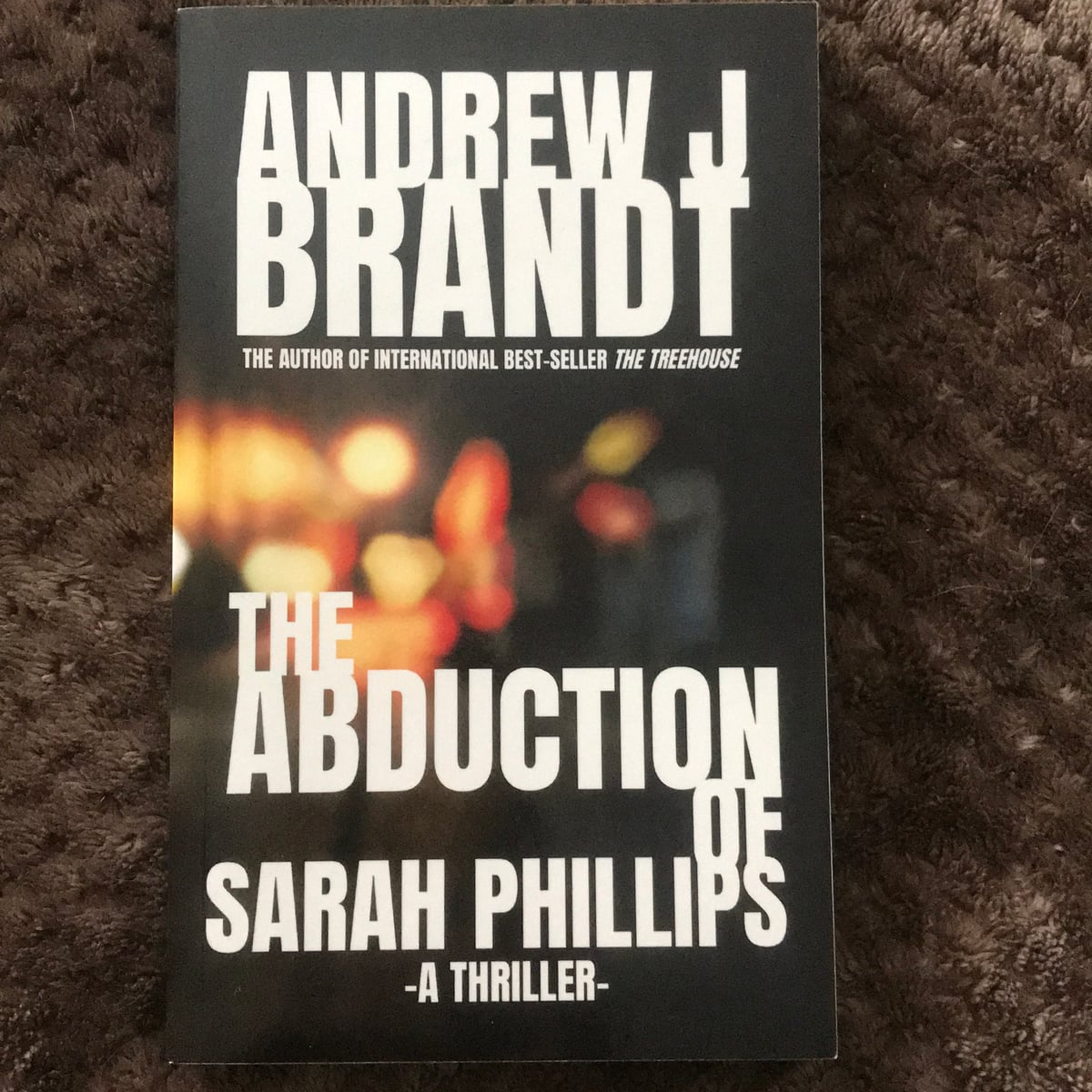 The Abduction of Sarah Phillips by Andrew J. Brandt
