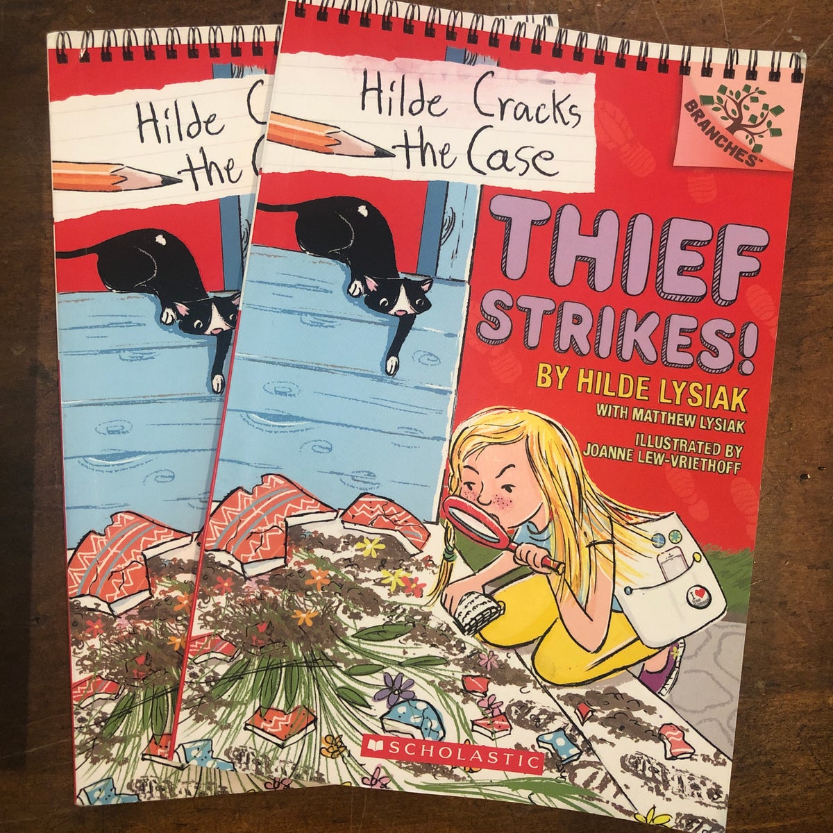 Thief Strikes! by Hilde Lysiak, Matthew Lysiak
