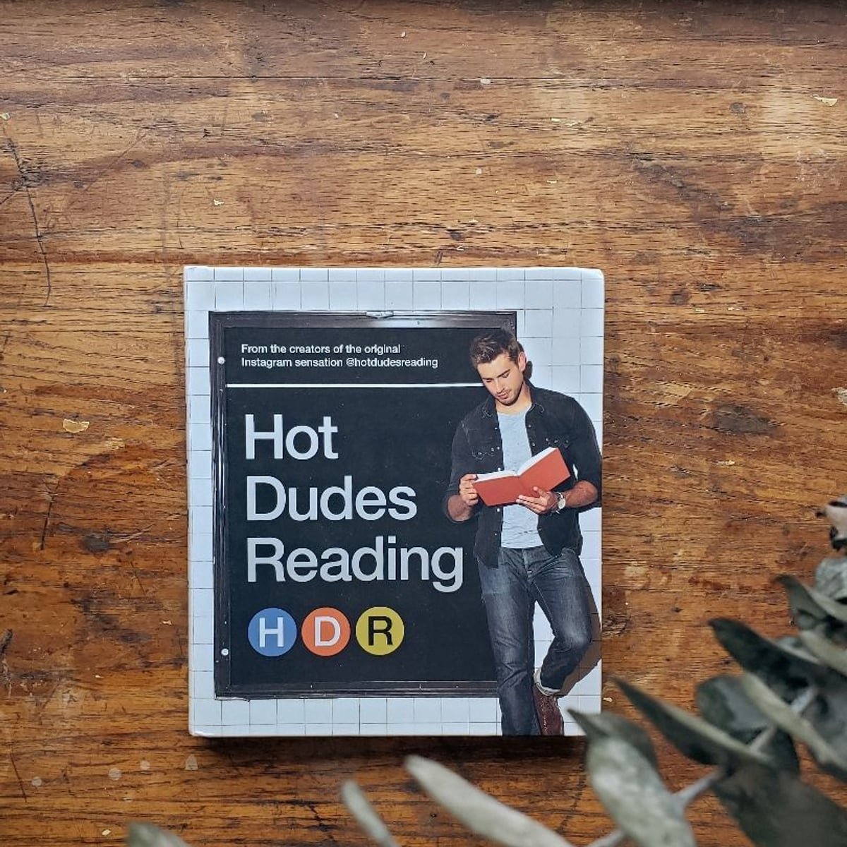 Hot Dudes Reading by Hot Dudes Reading, Hardcover | Pangobooks